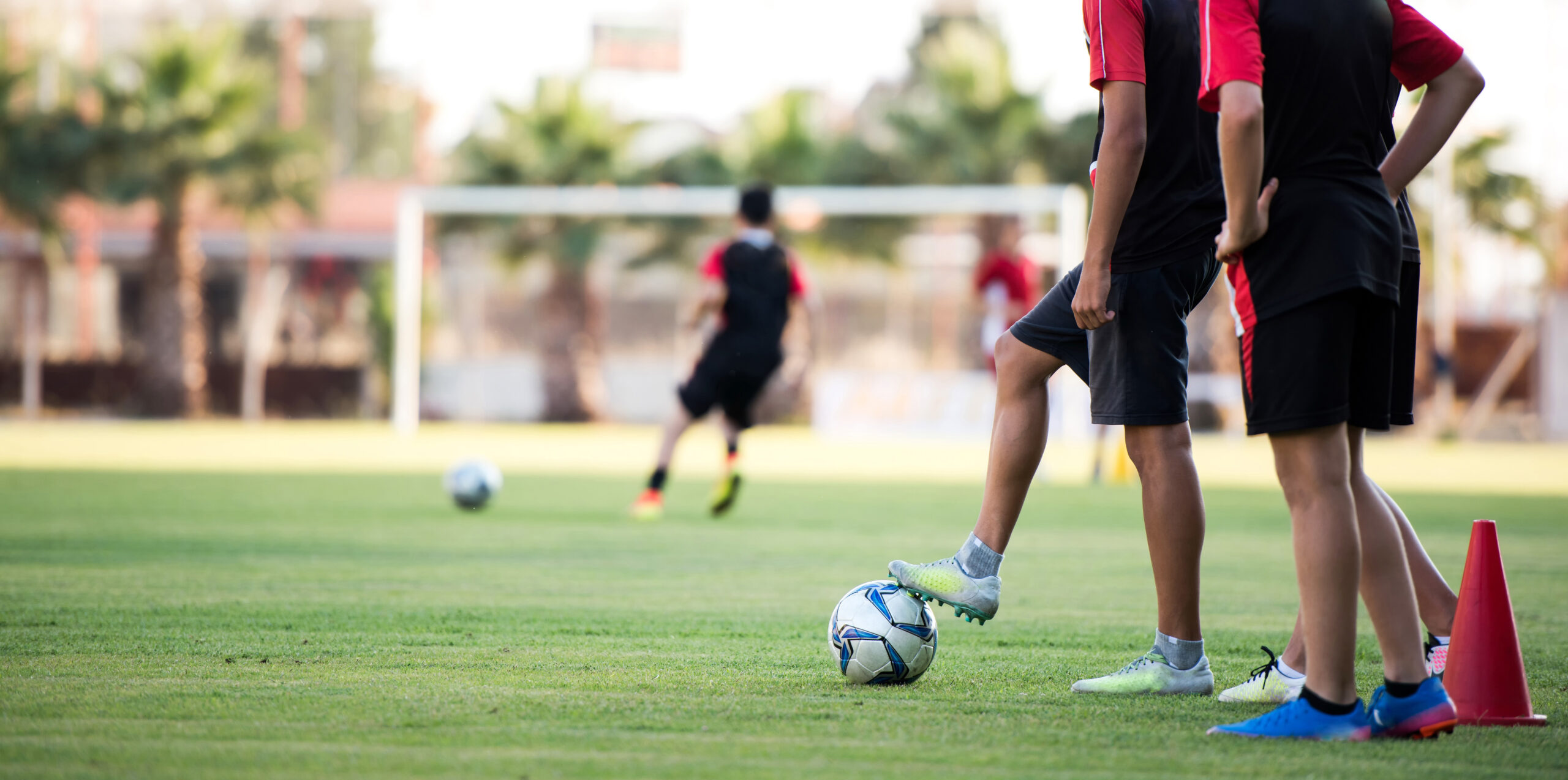 Nachwuchsleistungszentren: Das NLZ als Kern des Problems oder Teil der ...